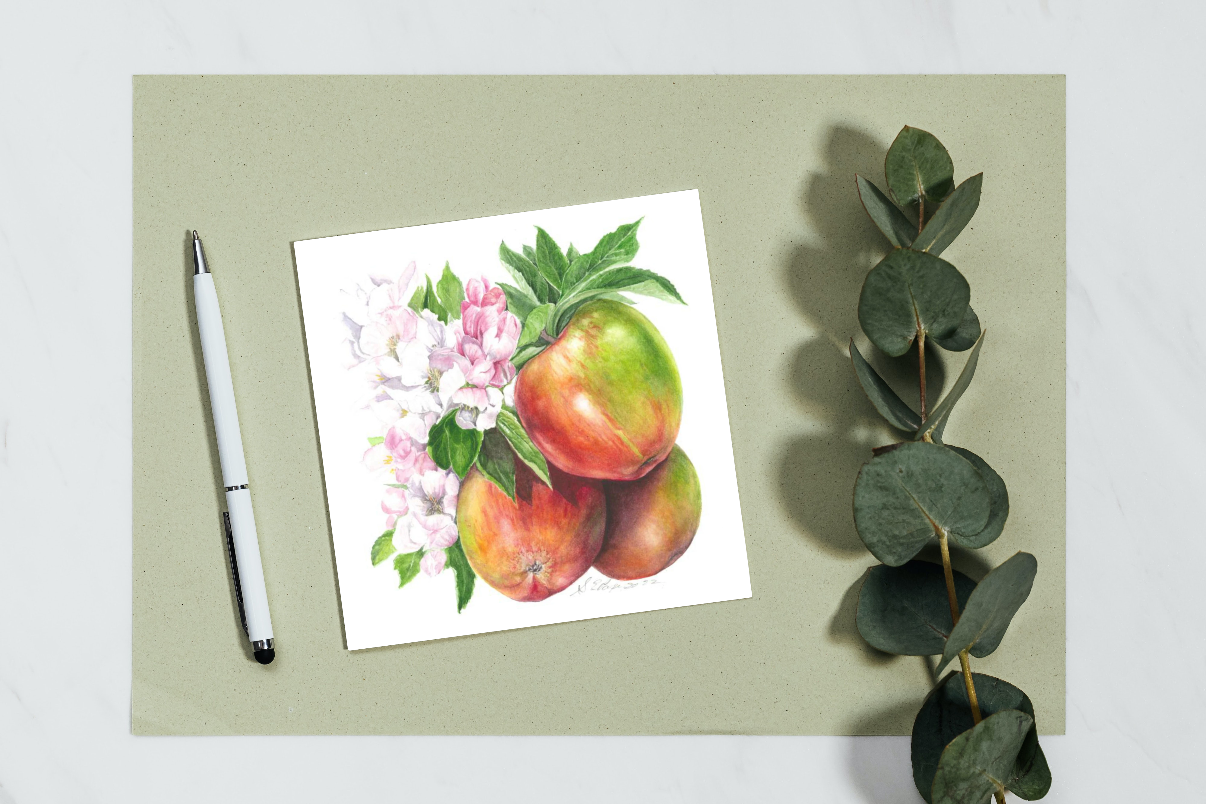 Botanical Cards – Sheryl Elaine Pape